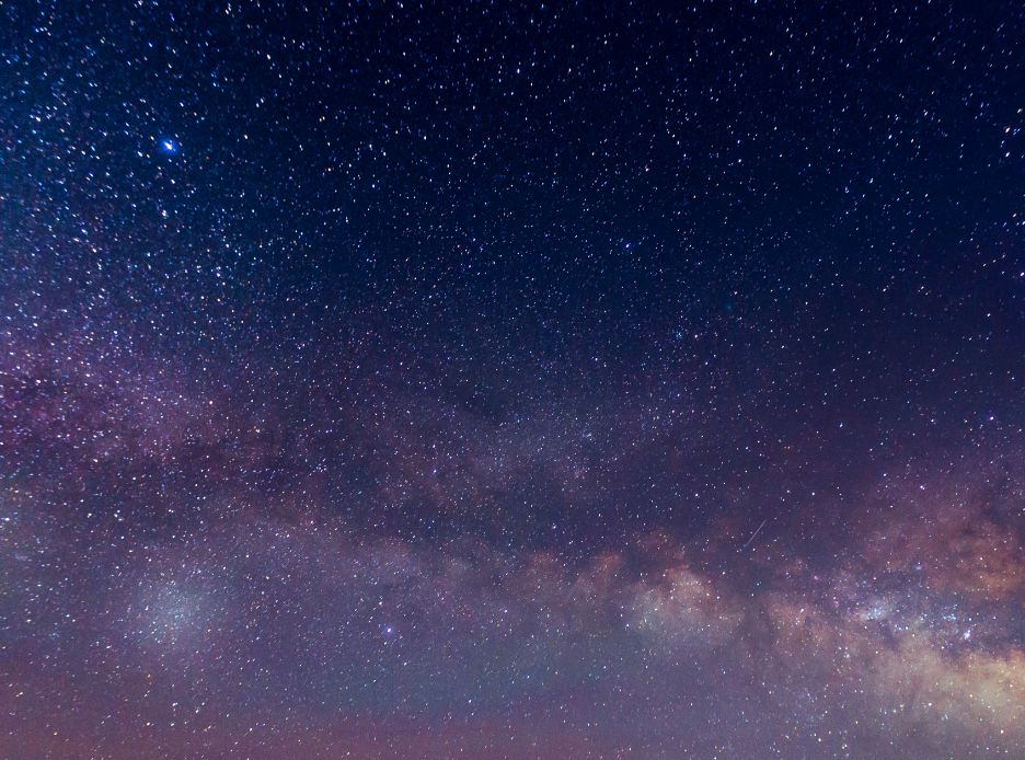 Professional staff – COMBS